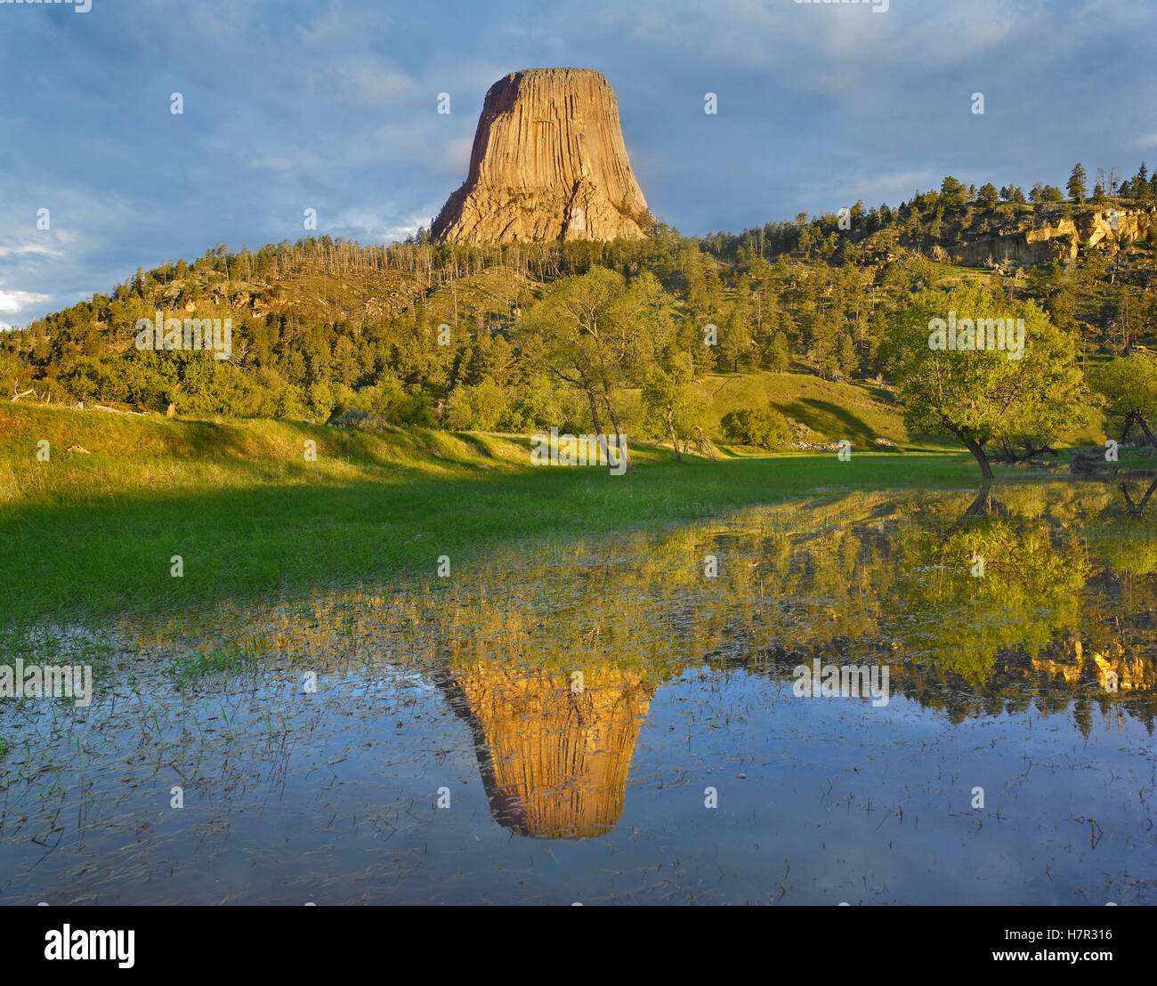 Devil's Tower National Monument showing famous basalt tower, sacred ...