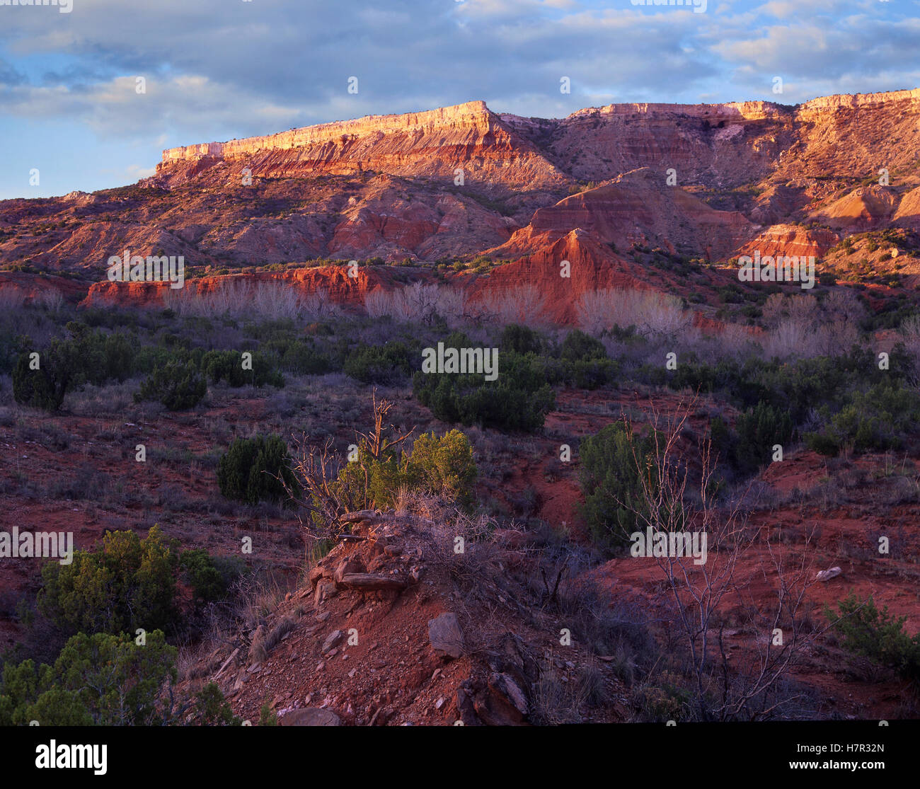Vegetation and sandstone buttes, Palo Duro Canyon State Park, Texas ...