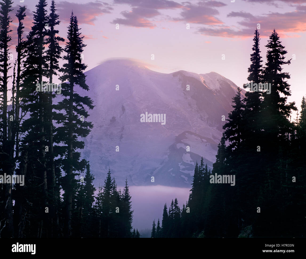 Mount Rainier from Sunrise Point, Mount Rainier National Park ...