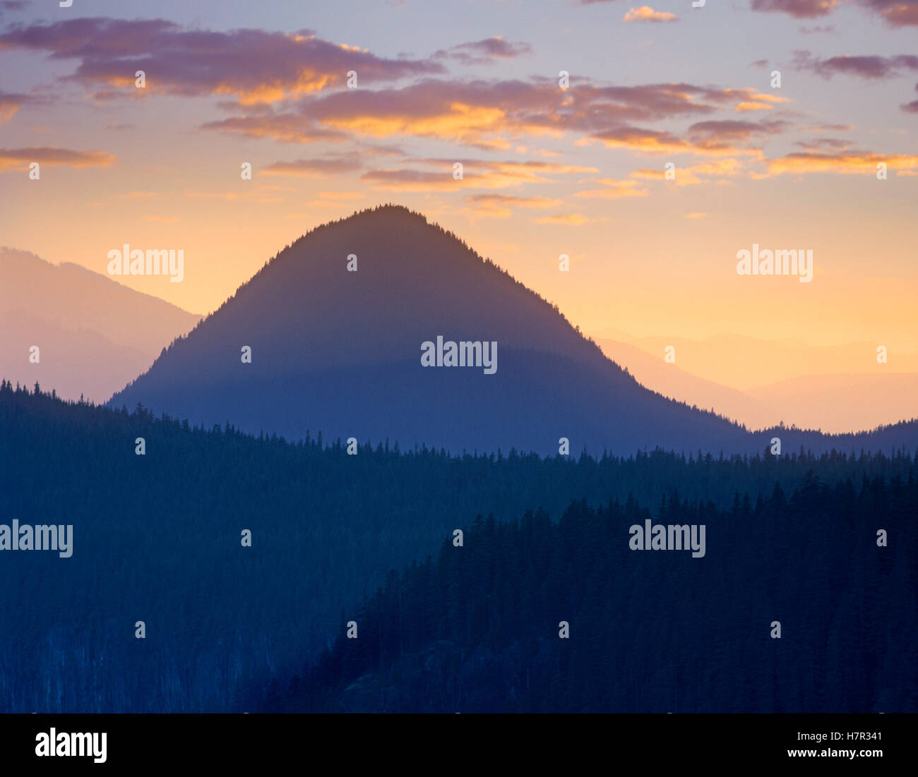 Mount Rainier from Sunrise Point, Mount Rainier National Park ...