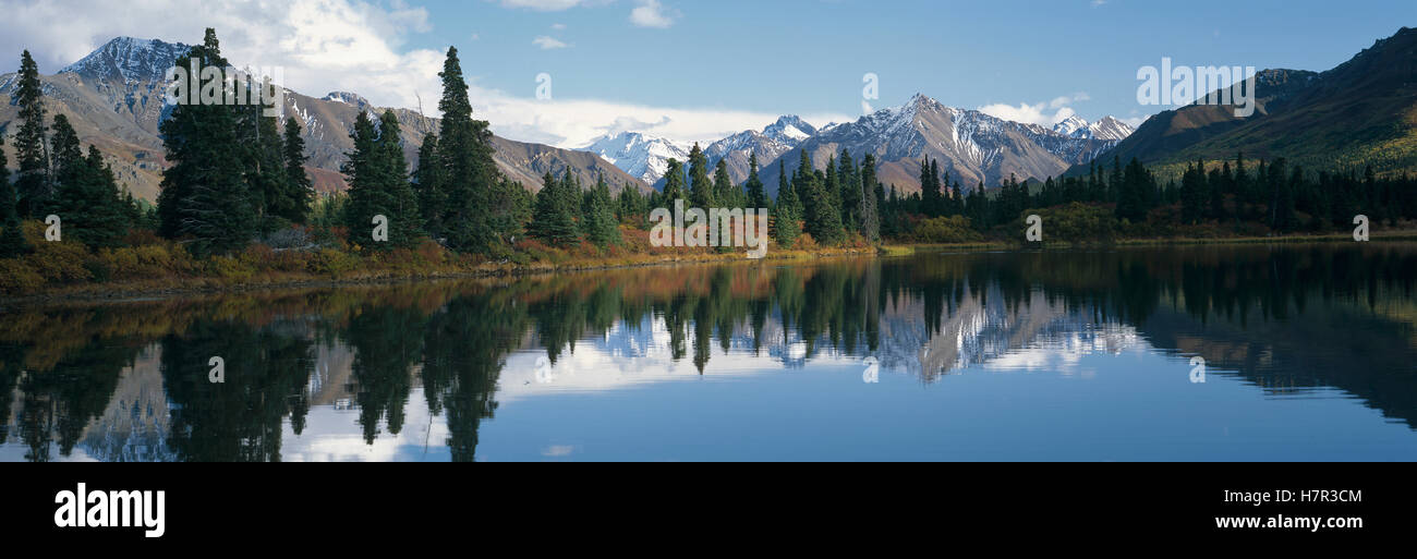 Boreal forest surrounding lake, Denali National Park and Preserve ...