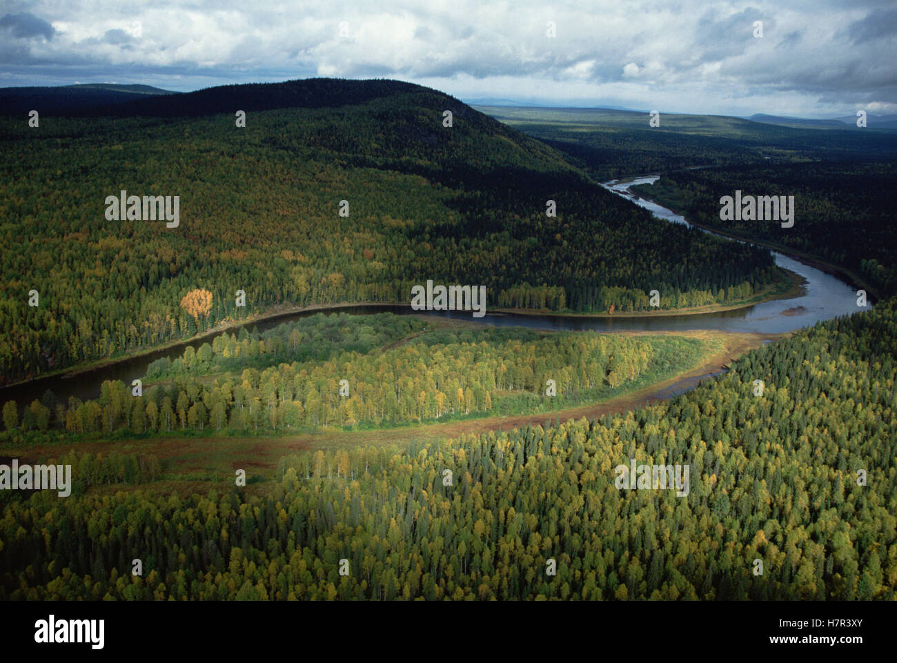 Pechora River valley hills covered with virgin forest, Pechora-Ilych ...
