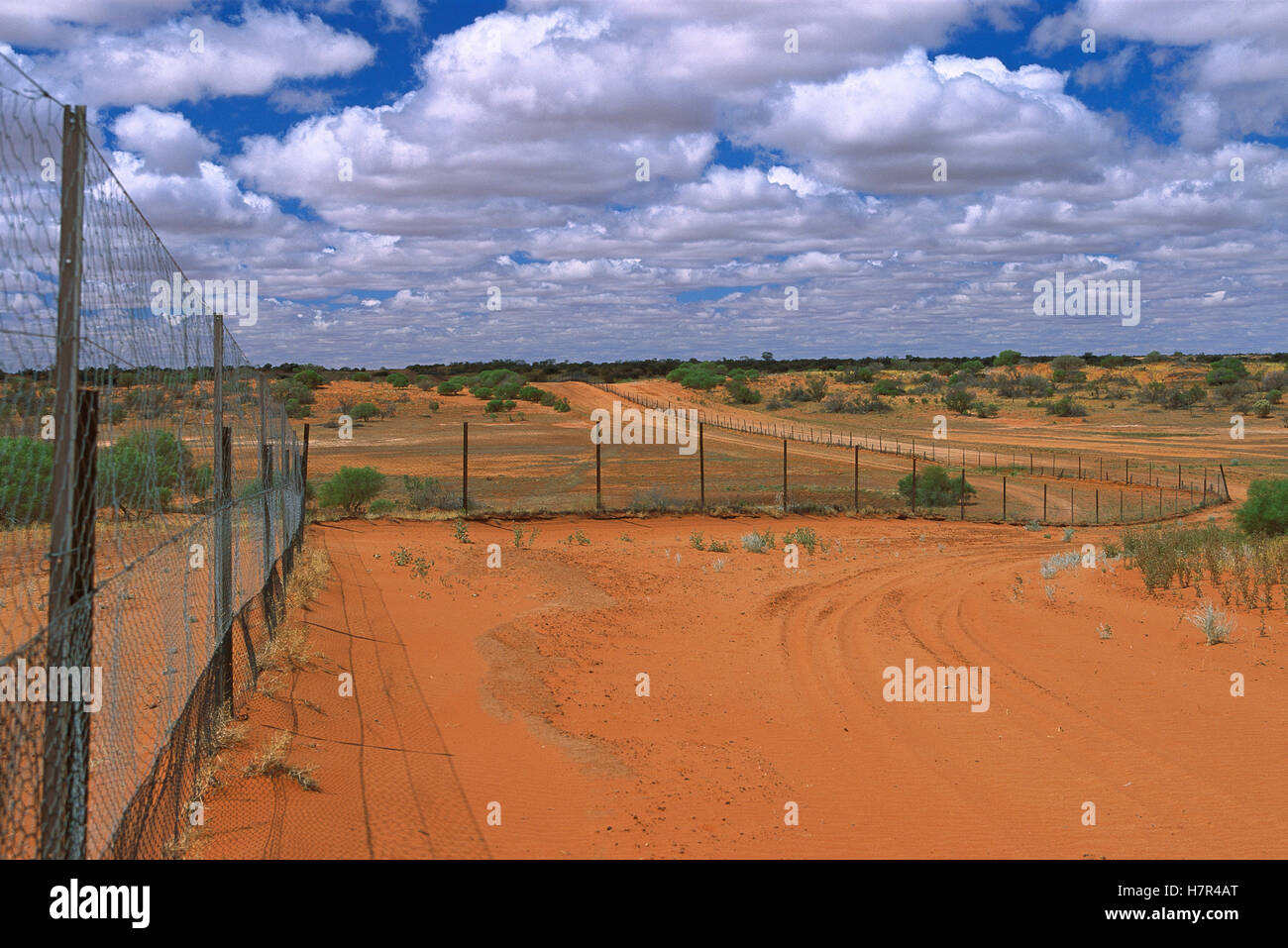 Dingo fence between New South Wales and Queensland, Cameron Corner ...
