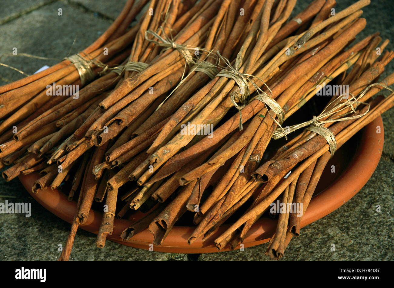 Cinnamon (Cinnamomum aromaticum) comes from the inner bark of a ...