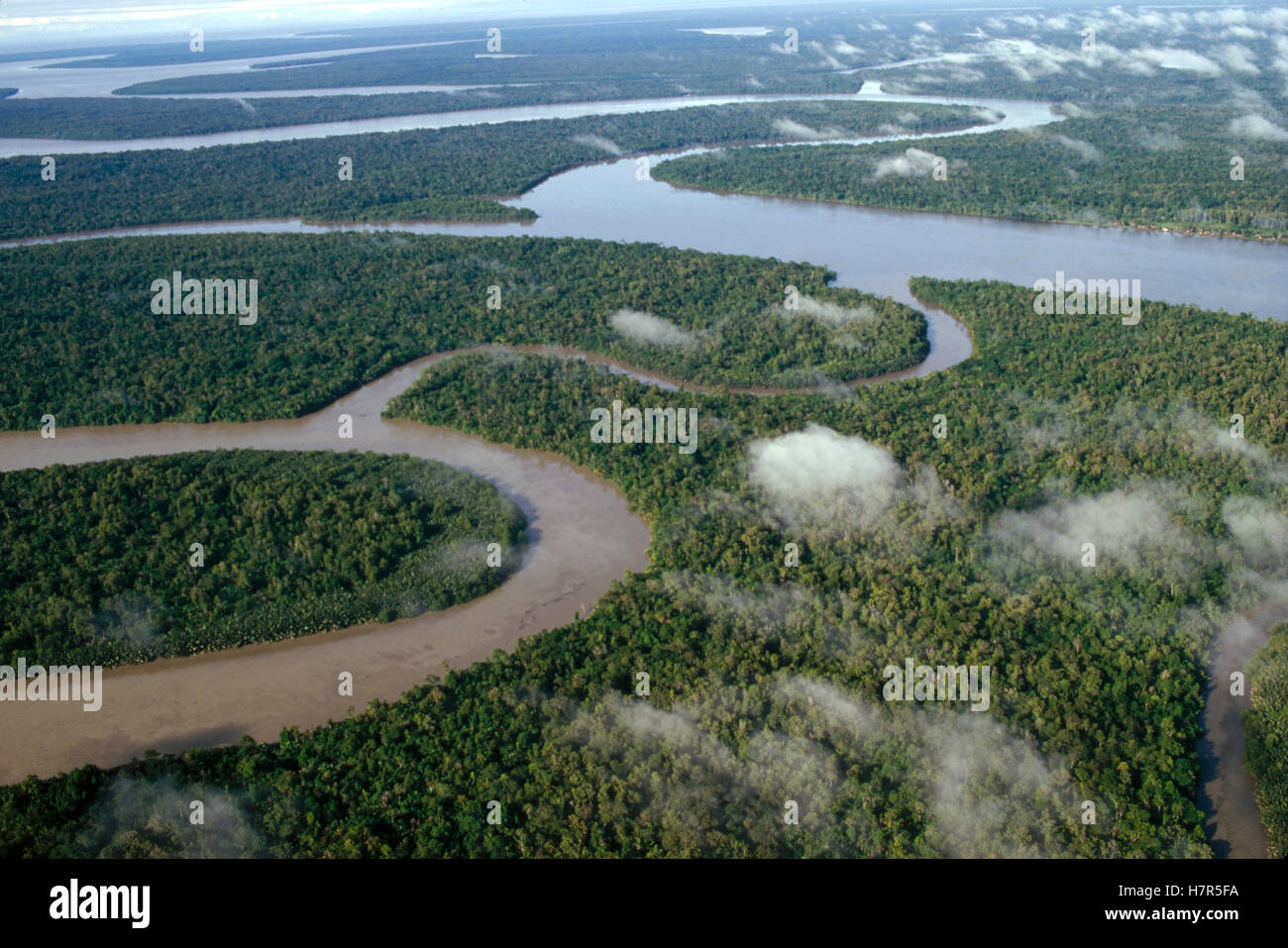 Aerial view of gulf coast region showing lowland tropical rainforest ...