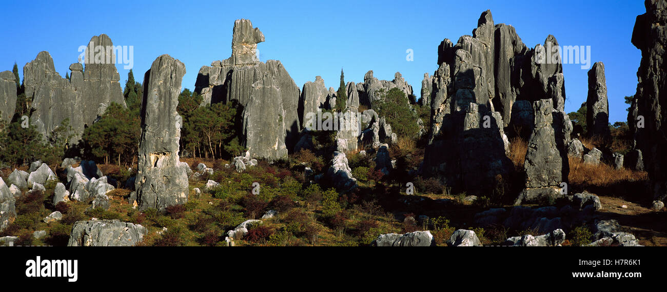 Stone forest of eroded limestone pinnacles, Yunnan Province, China ...