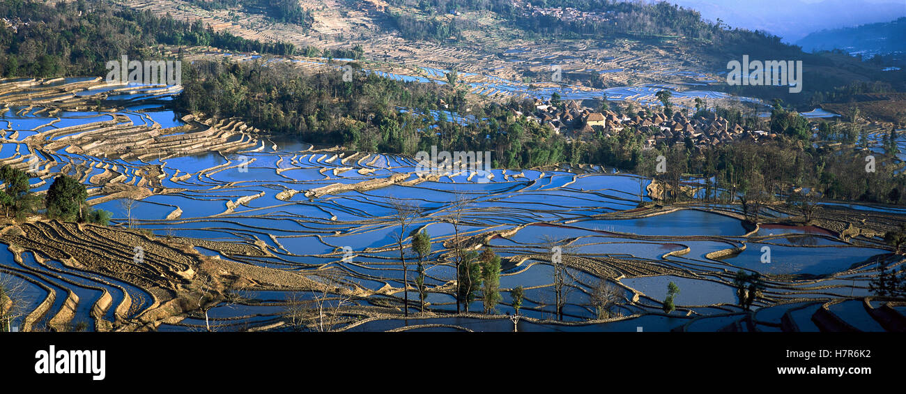 Mushroom houses and terraces, Hani ethnic minority group, Honghe ...