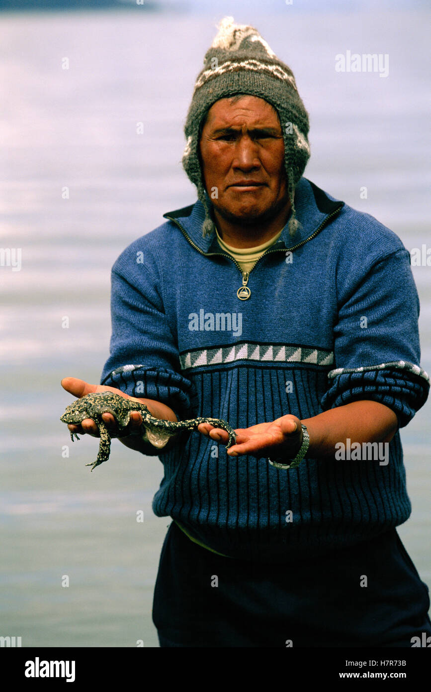 Lake Titicaca Frog (Telmatobius culeus) the world's largest aquatic ...