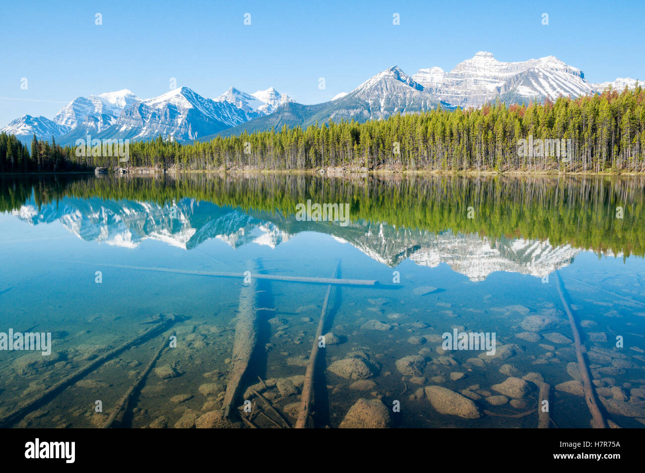 Herbert Lake, Banff National Park, Alberta, Canada Stock Photo - Alamy