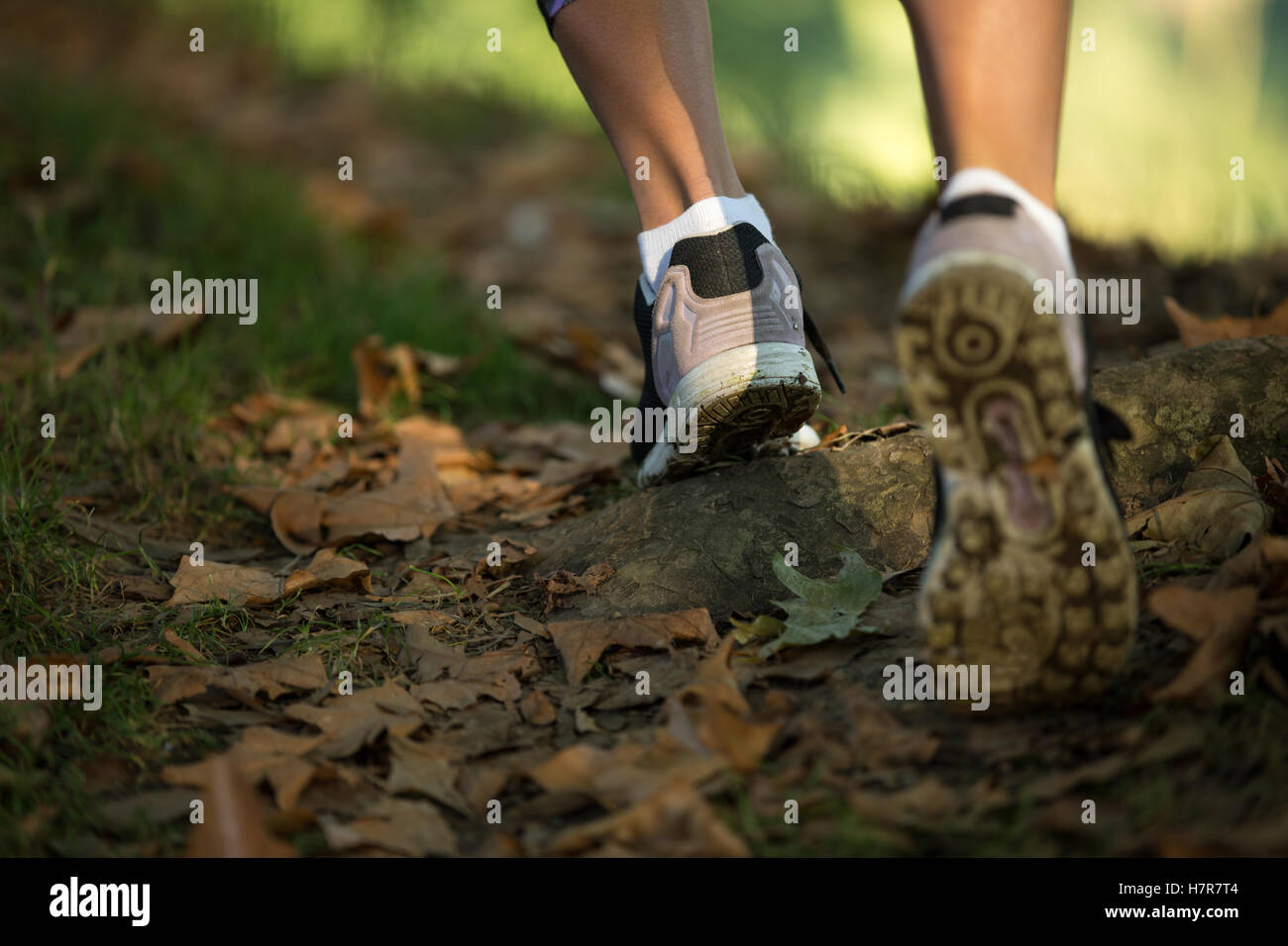 Woman feet in shoes on a forest path on sunset Stock Photo - Alamy