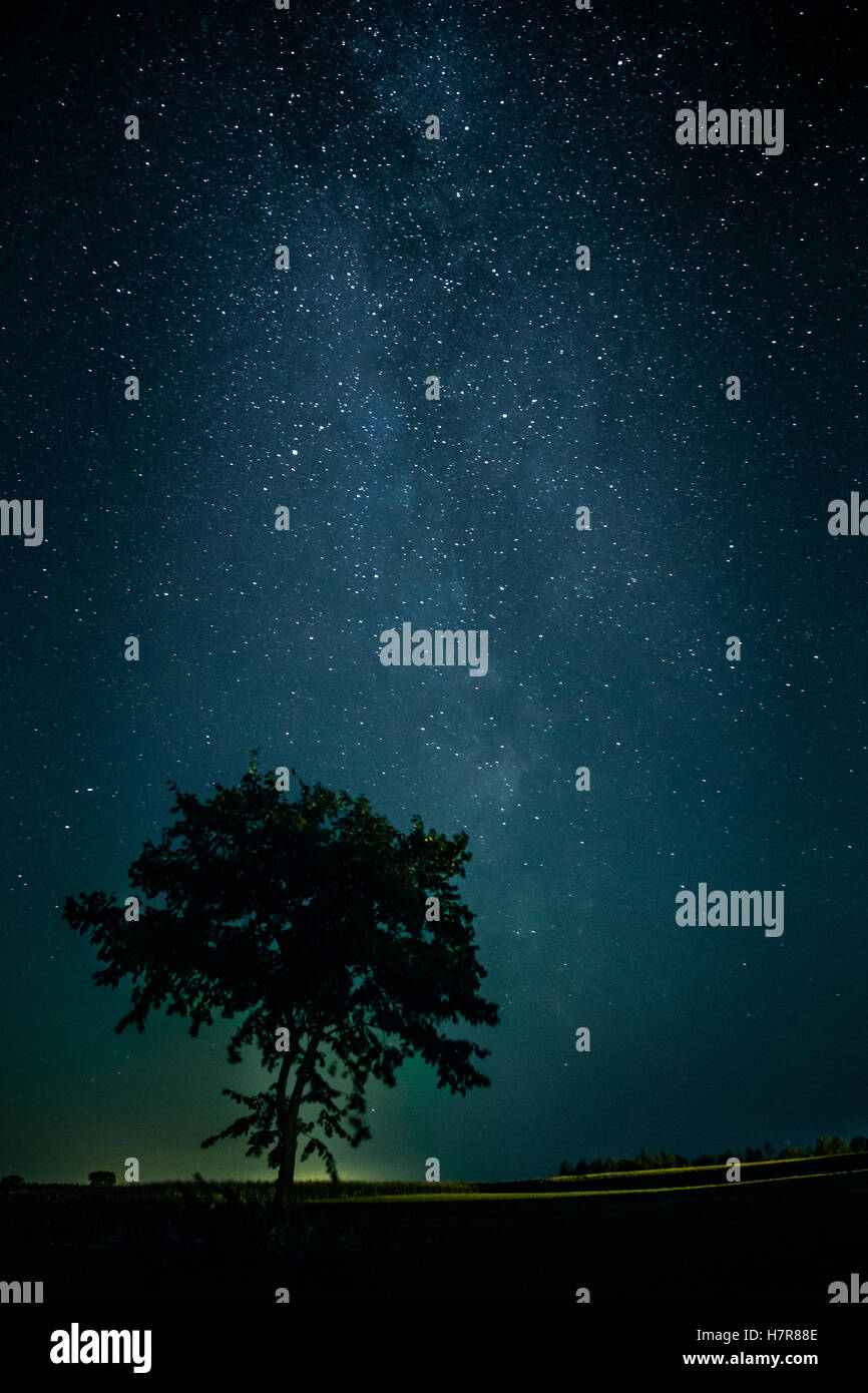 Astronomy tree hi-res stock photography and images - Alamy