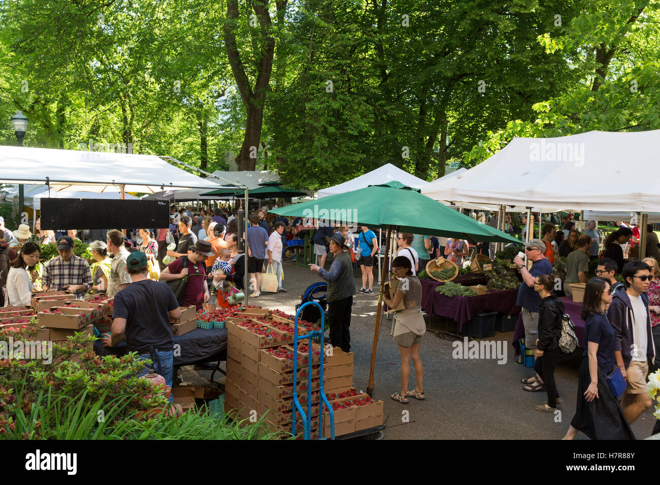 Portland spring hi-res stock photography and images - Alamy