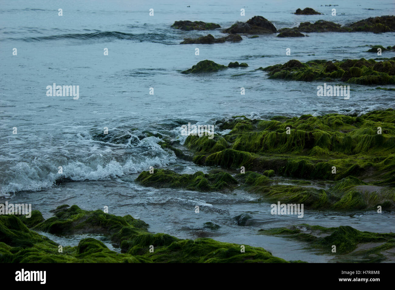Seaside landscape coming waves hi-res stock photography and images - Alamy