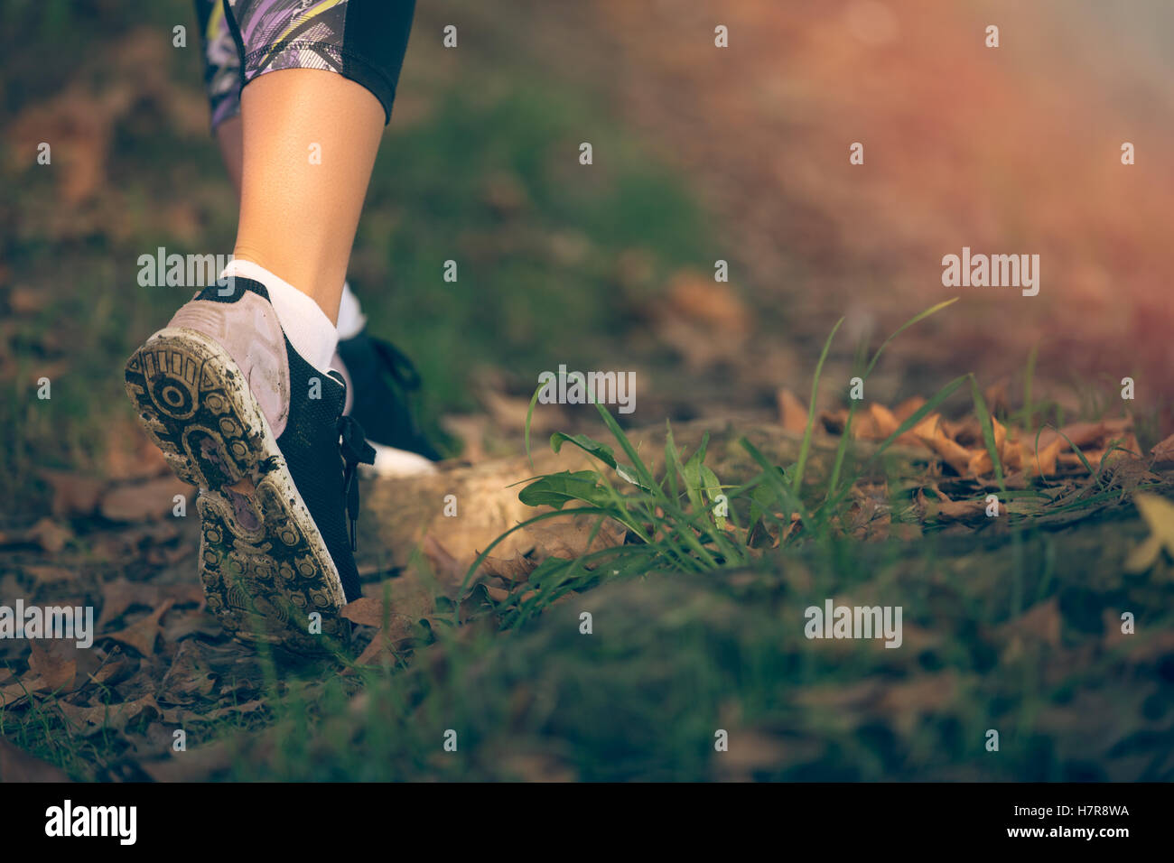 Woman feet in shoes on a forest path on sunset Stock Photo - Alamy