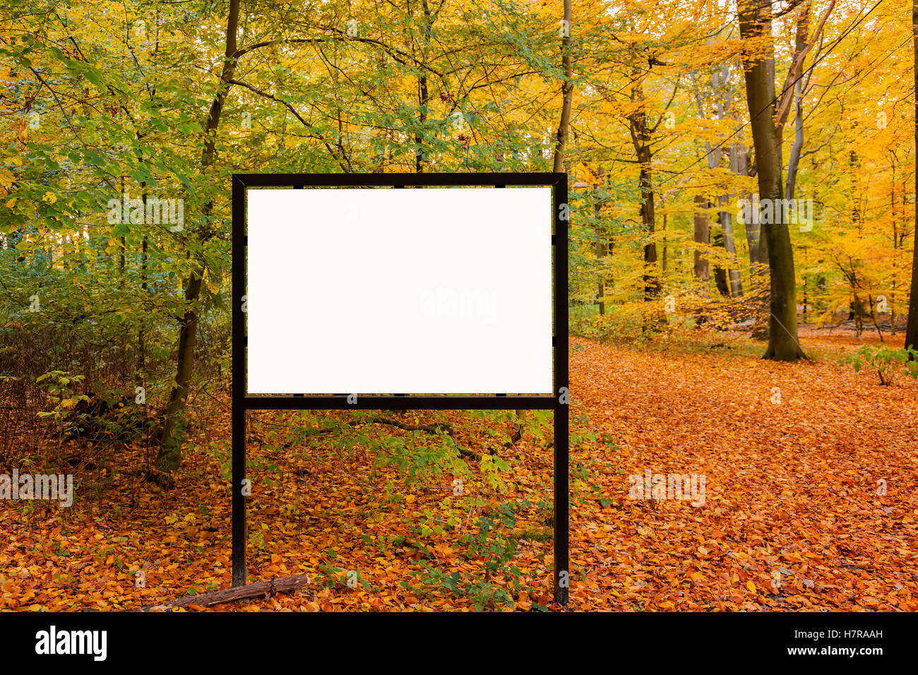 Image of empty billboard sign on the forest trail Stock Photo - Alamy