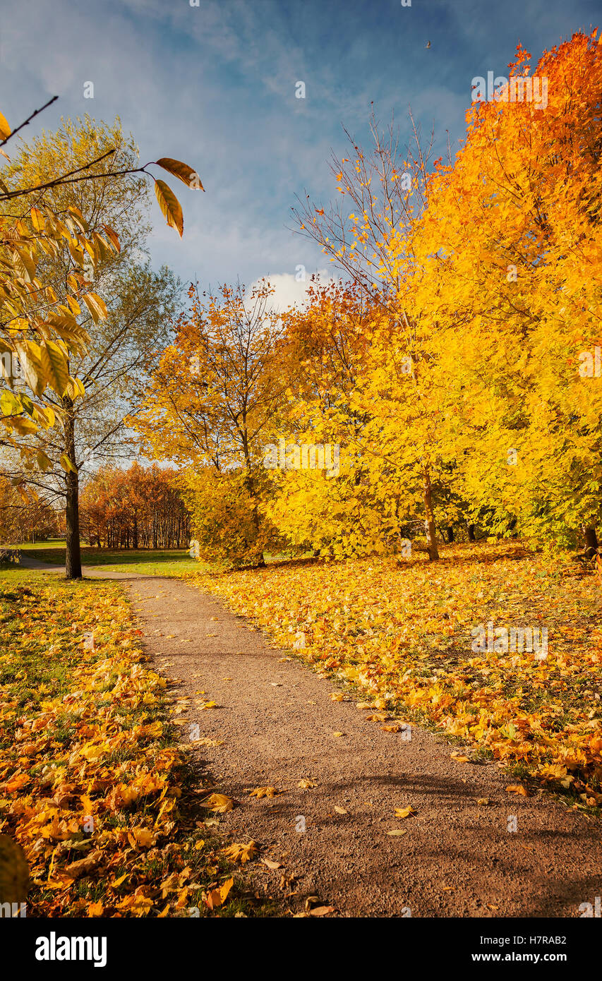 Colorful trees landscape in hi-res stock photography and images - Alamy