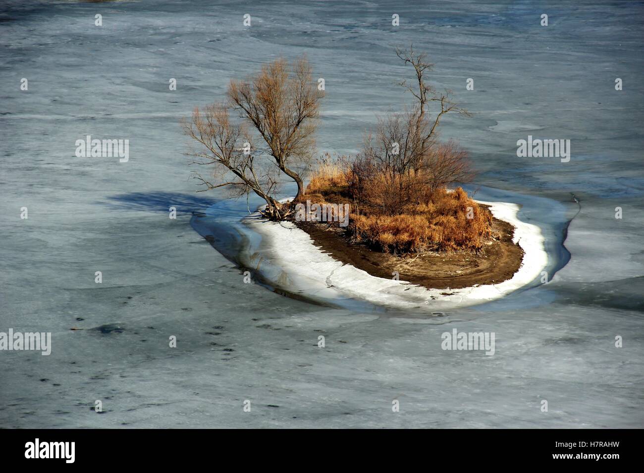 Southern Bug covered with ice Stock Photo - Alamy
