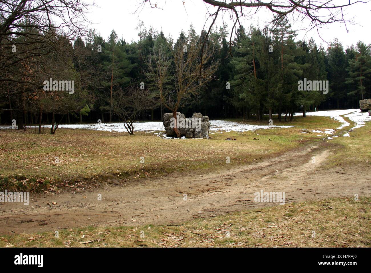 Wehrwolf in Vinnitsa, Ukraine. Hitler's bunker Stock Photo - Alamy