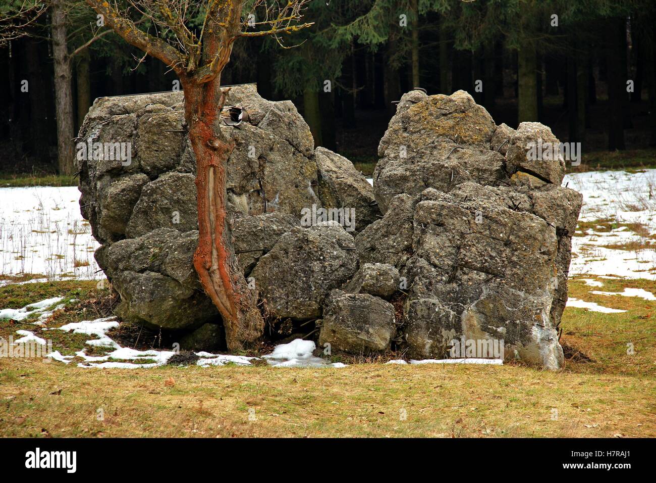 Wehrwolf in Vinnitsa, Ukraine. Hitler's bunker Stock Photo - Alamy