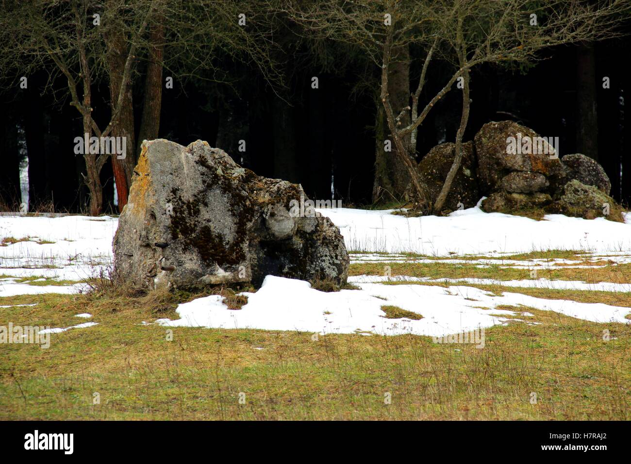 Wehrwolf in Vinnitsa, Ukraine. Hitler's bunker Stock Photo - Alamy