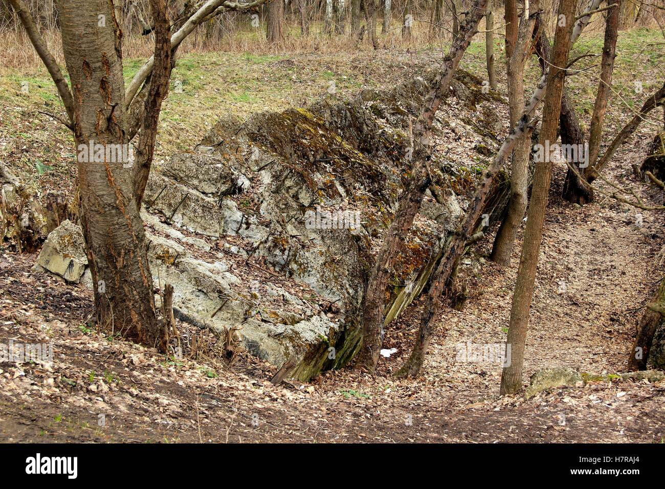 Wehrwolf in Vinnitsa, Ukraine. Hitler's bunker Stock Photo - Alamy