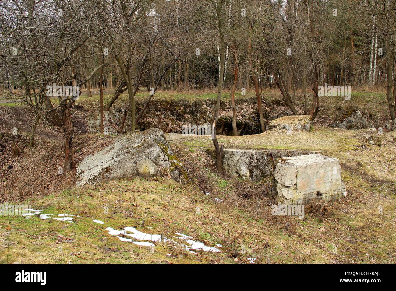 Wehrwolf in Vinnitsa, Ukraine. Hitler's bunker Stock Photo - Alamy