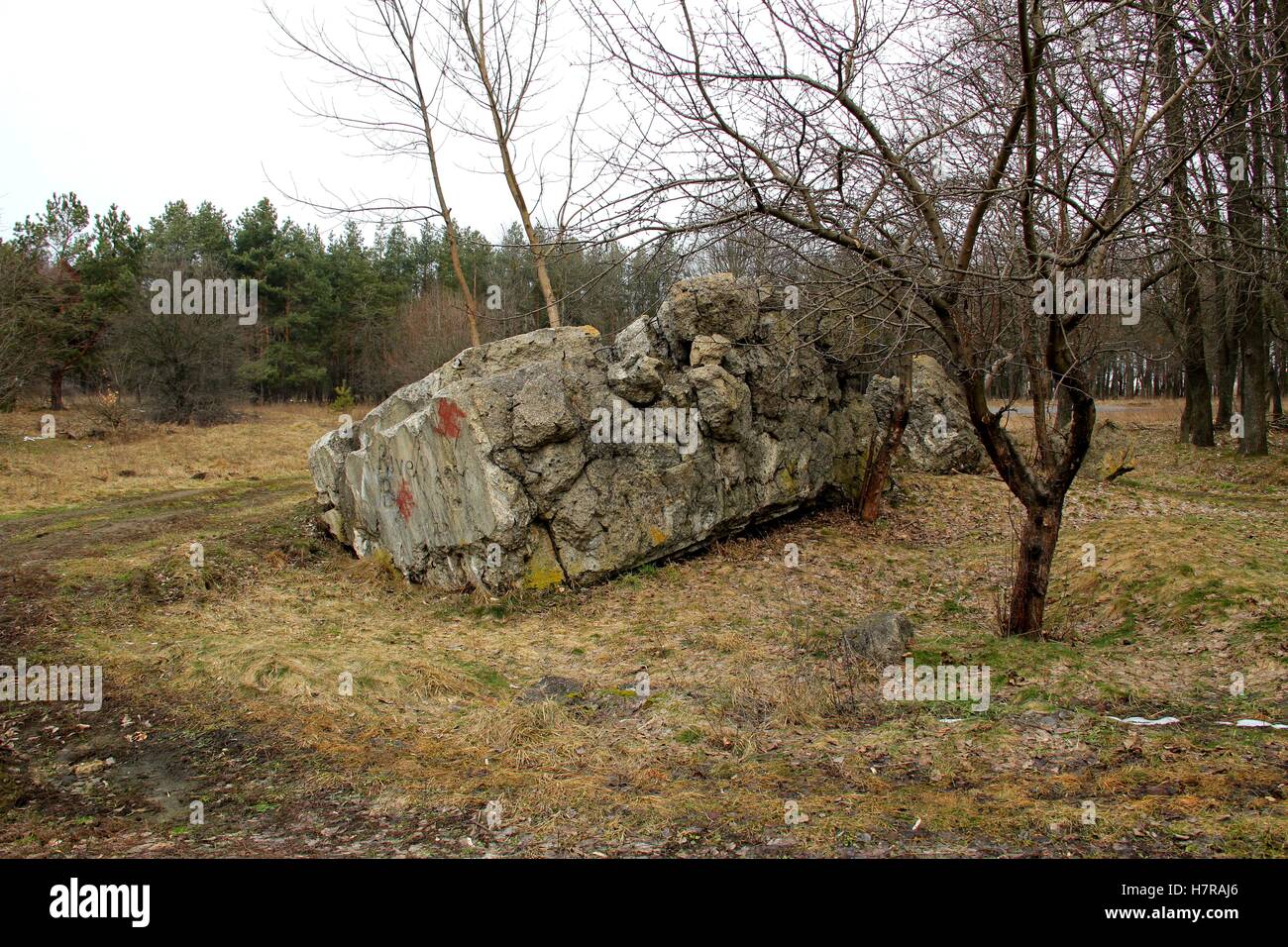 Wehrwolf in Vinnitsa, Ukraine. Hitler's bunker Stock Photo - Alamy