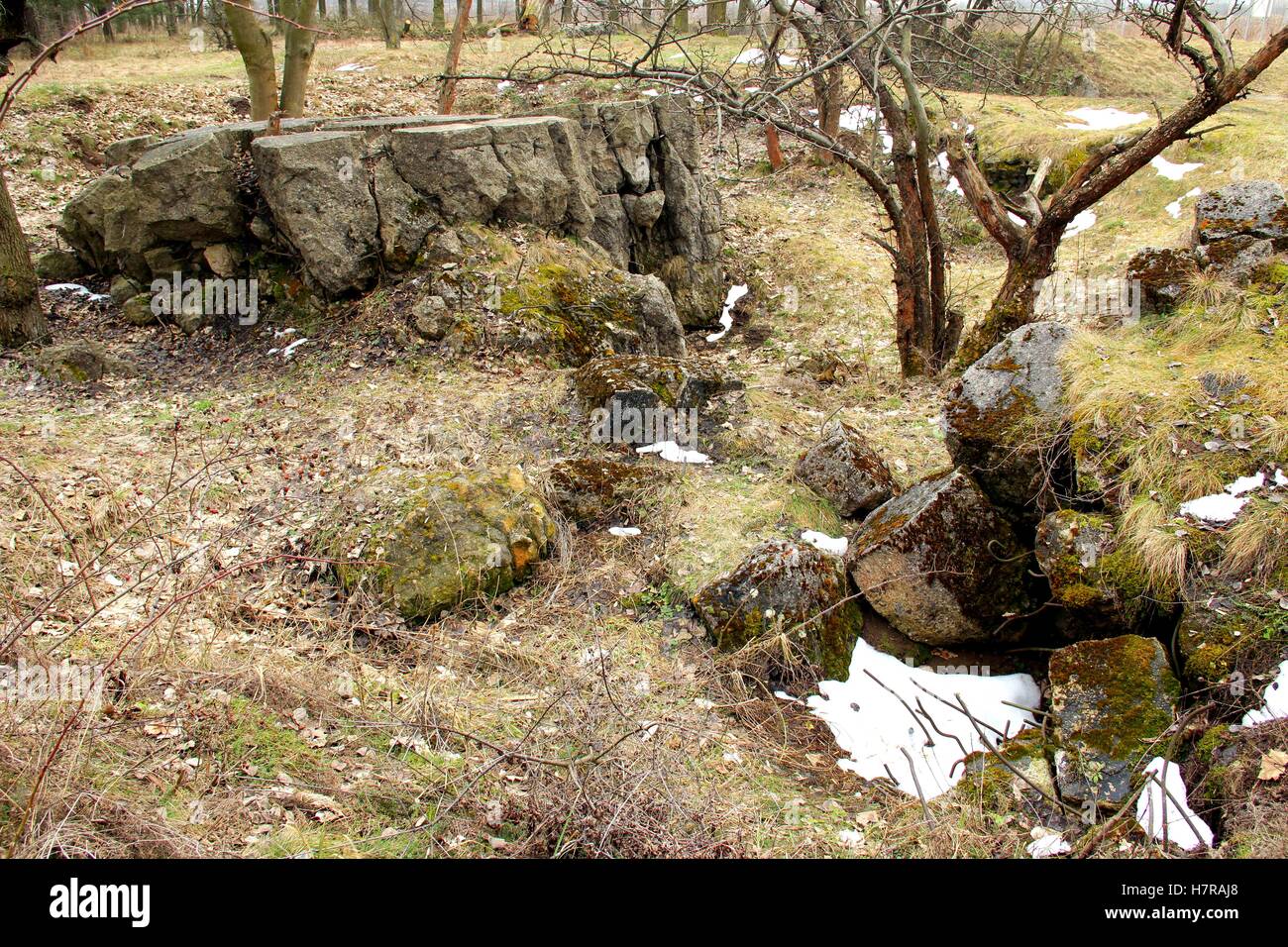 Wehrwolf in Vinnitsa, Ukraine. Hitler's bunker Stock Photo - Alamy