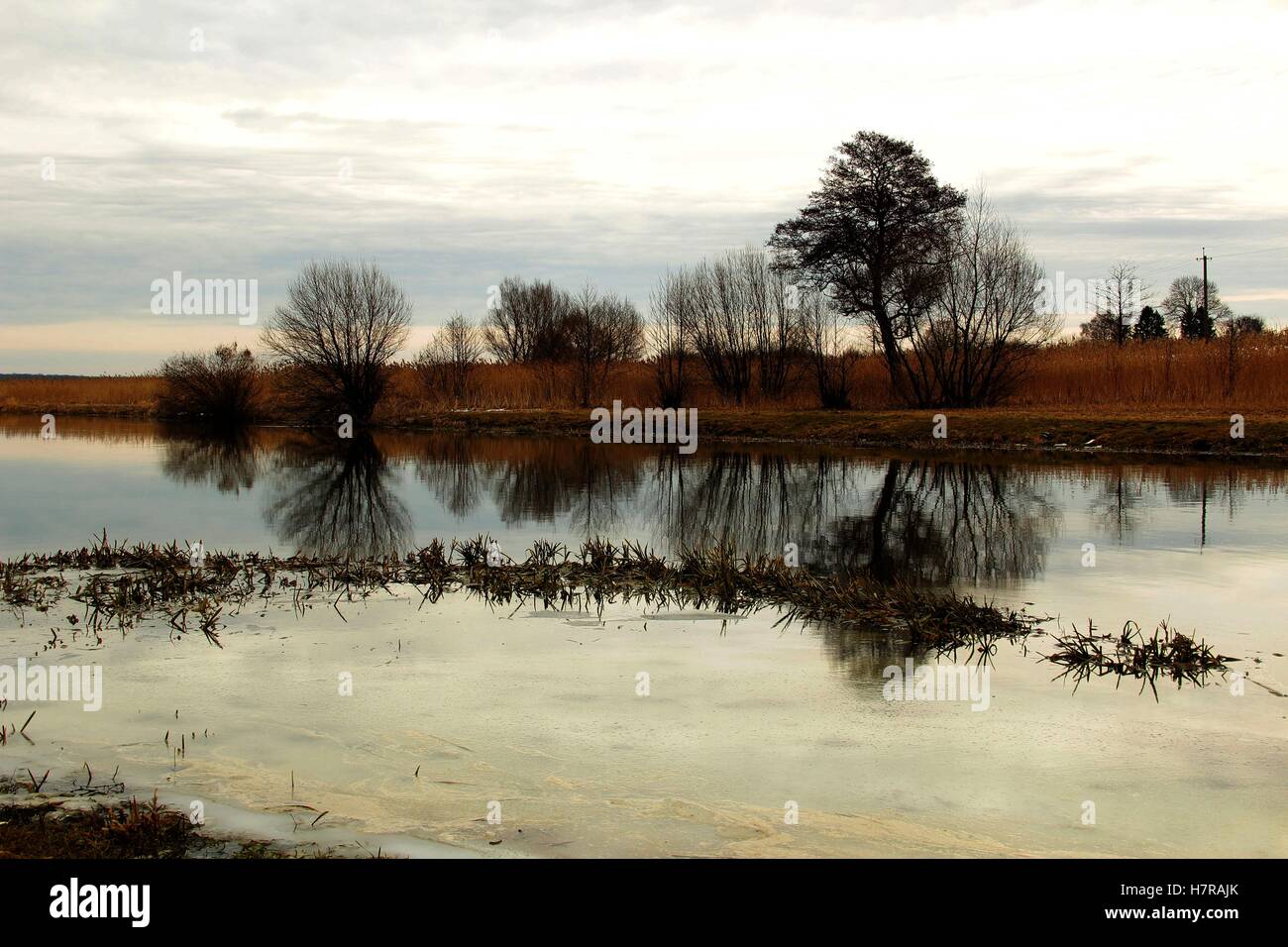 Southern Bug river Stock Photo - Alamy