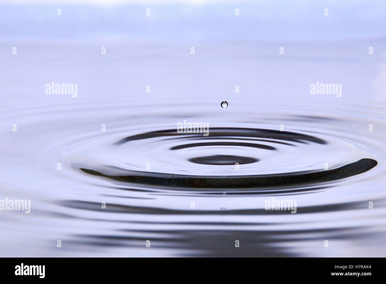 Water drops impacting water surface Stock Photo - Alamy
