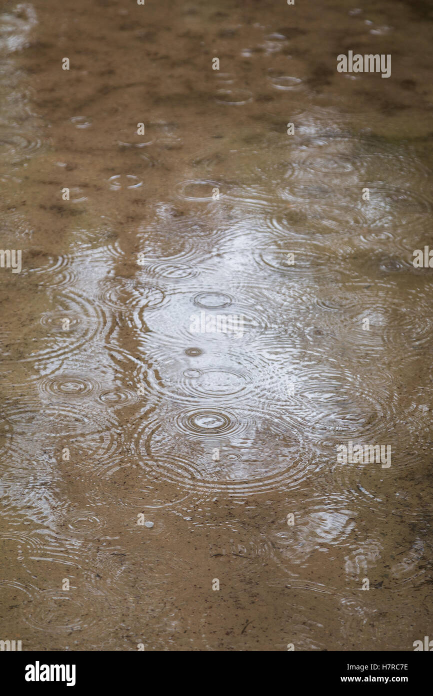 Close-up of concentric rings of ripples on a puddle Stock Photo - Alamy