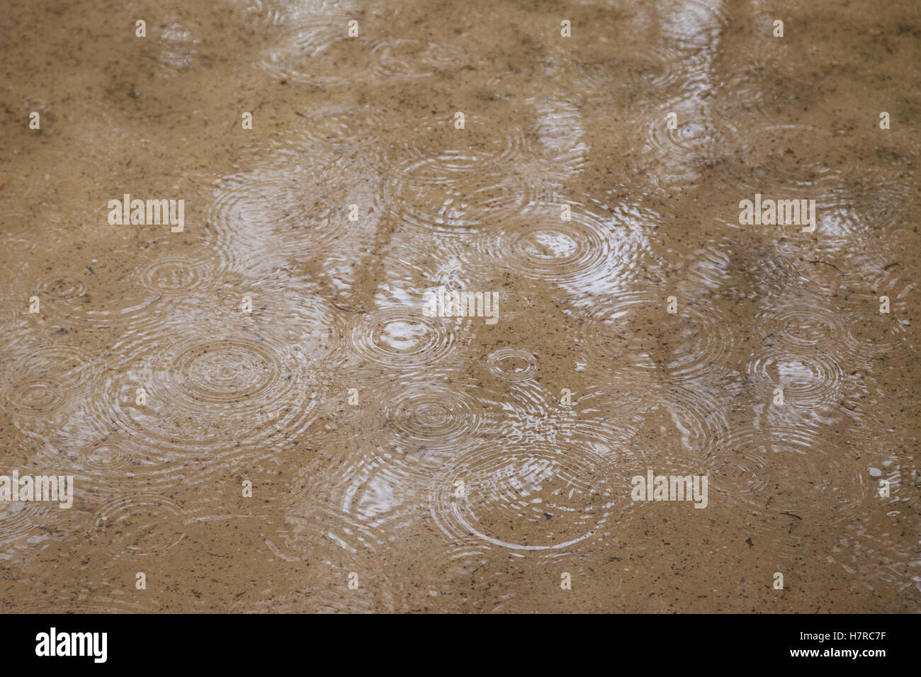 Puddle on the ground hi-res stock photography and images - Alamy