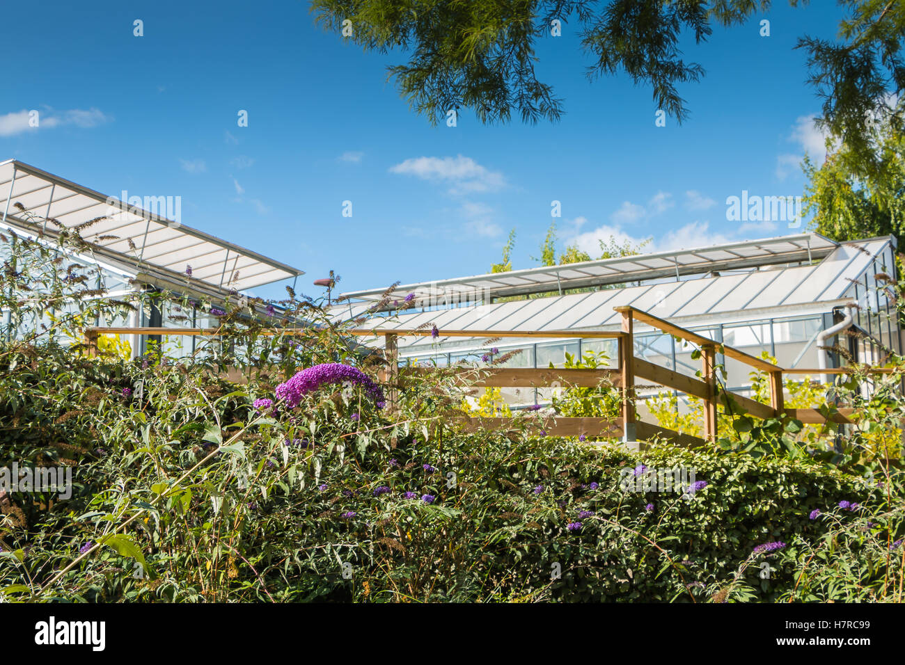 greenhouse of the "olfacties" graden at Coex in France Stock Photo - Alamy