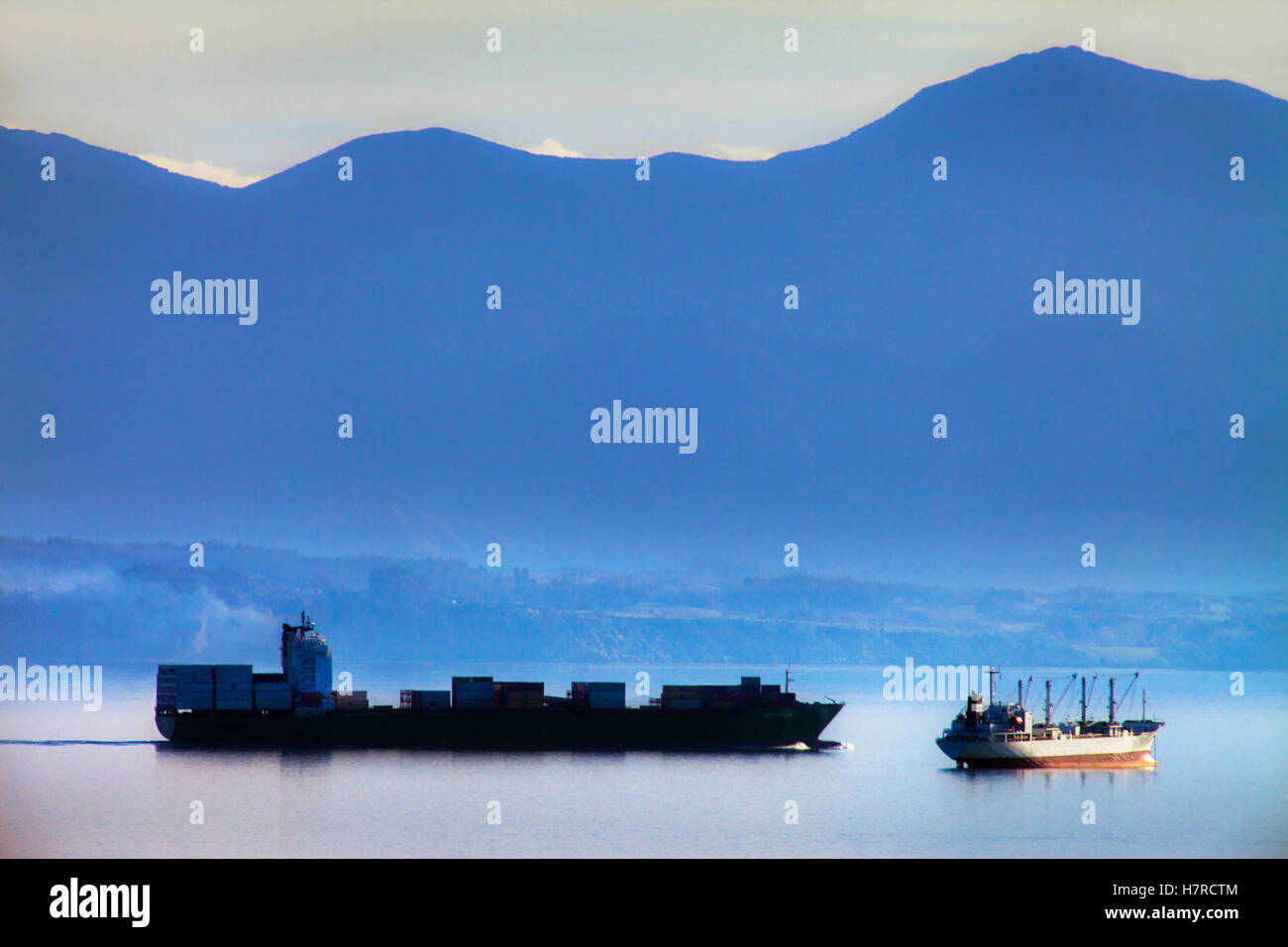 A container ship passes a cargo vessel moored in Tasman Bay, Nelson ...