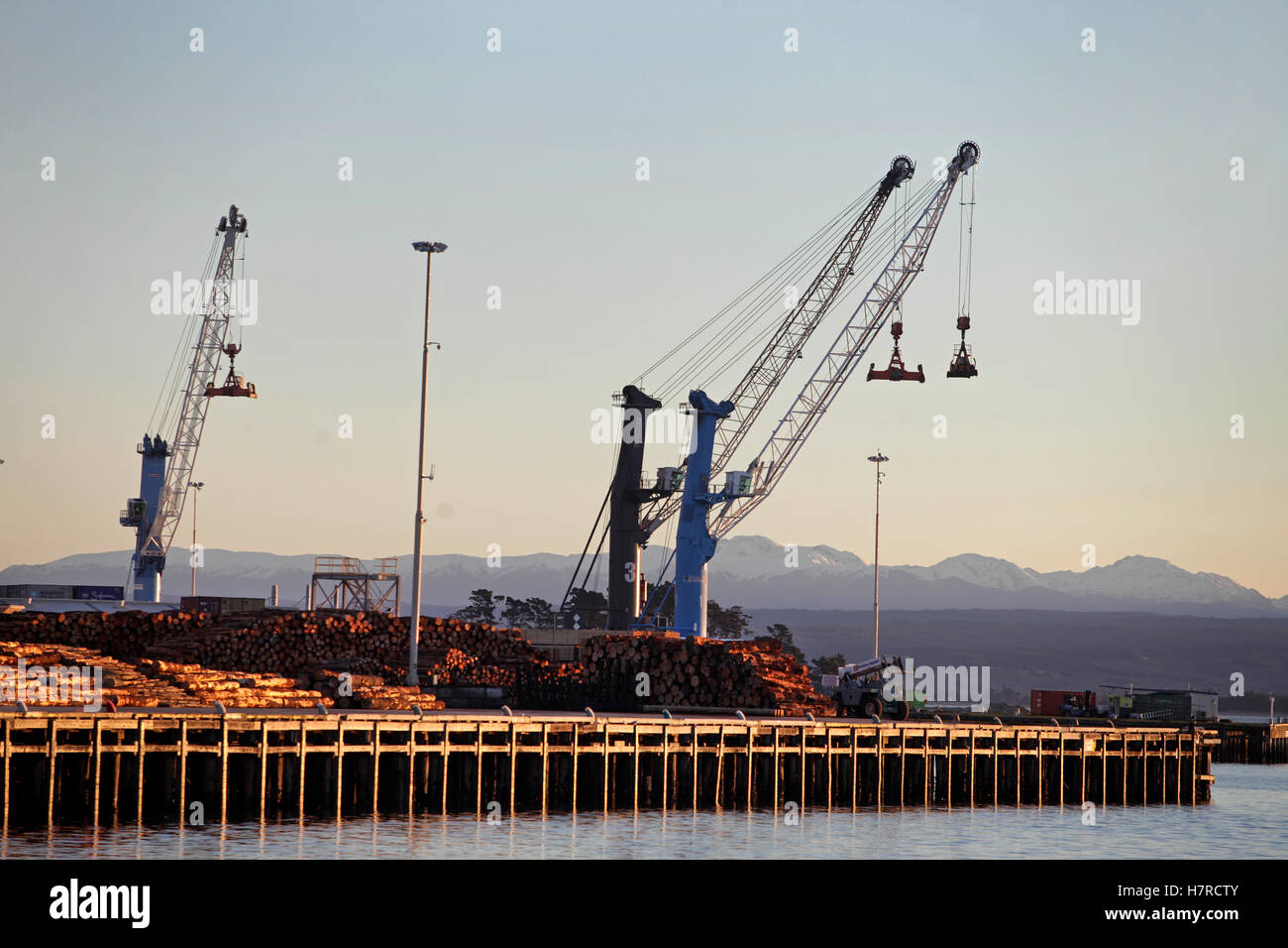 Leibherr cranes on the quayside at Port Nelson where logs are stored ...