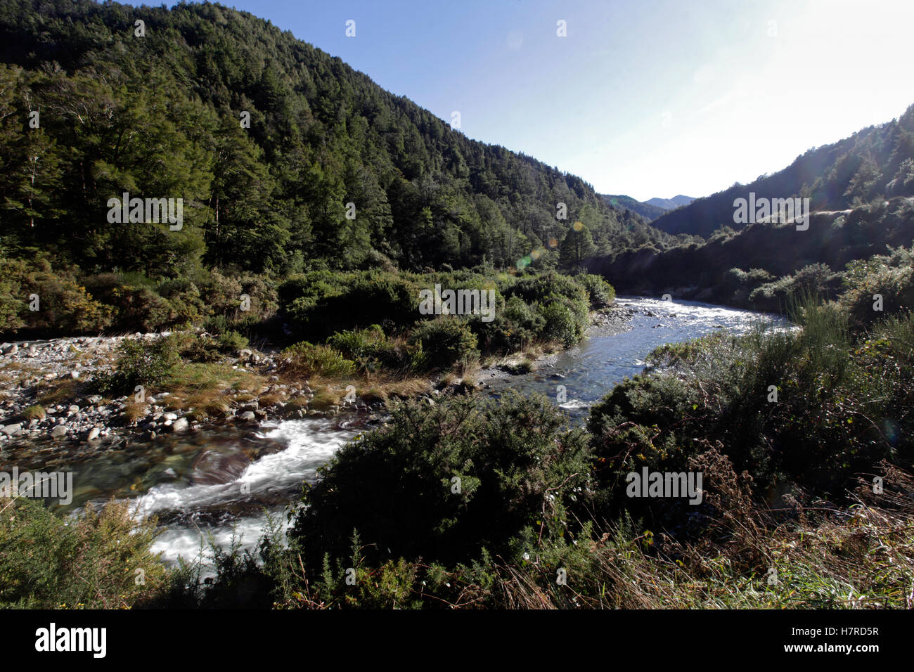 The Wangapeka River valley, Kahurangi National Park, New Zealand Stock ...