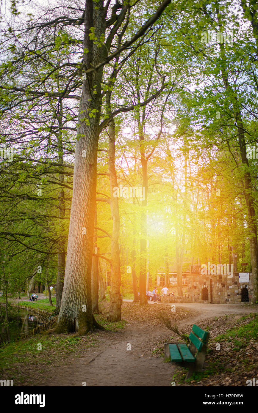 Park pathway and bench in early spring time Stock Photo - Alamy
