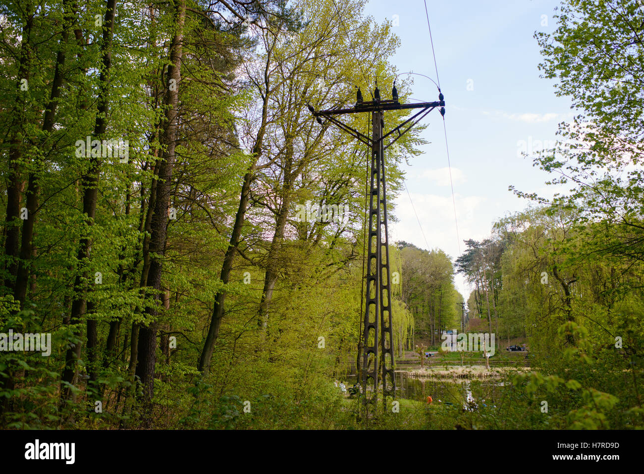 high voltage post in forest in early spring time Stock Photo - Alamy