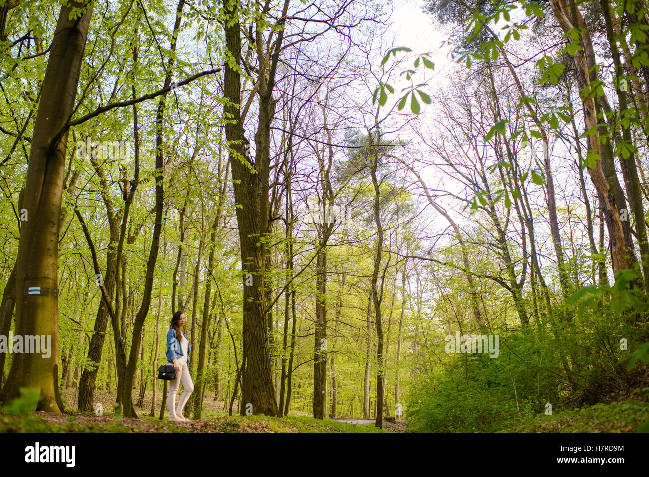 Young girl on a walk in the forest Stock Photo - Alamy