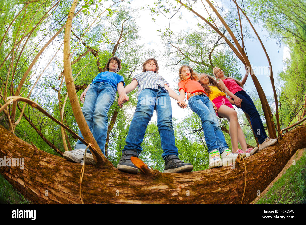 Kids standing together on trunk of fallen tree Stock Photo - Alamy