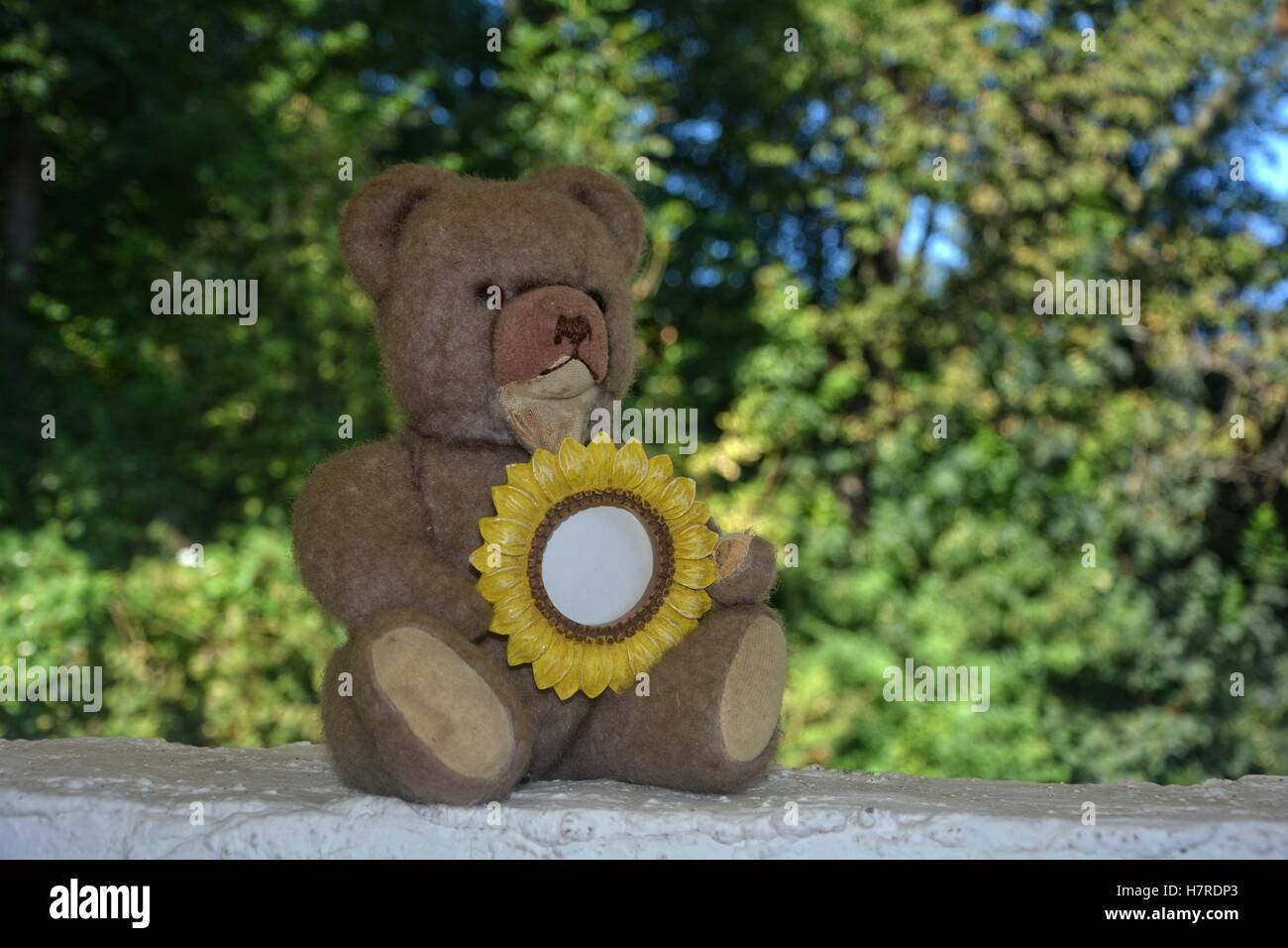 Teddy bear sits on a white wall against green nature background and ...