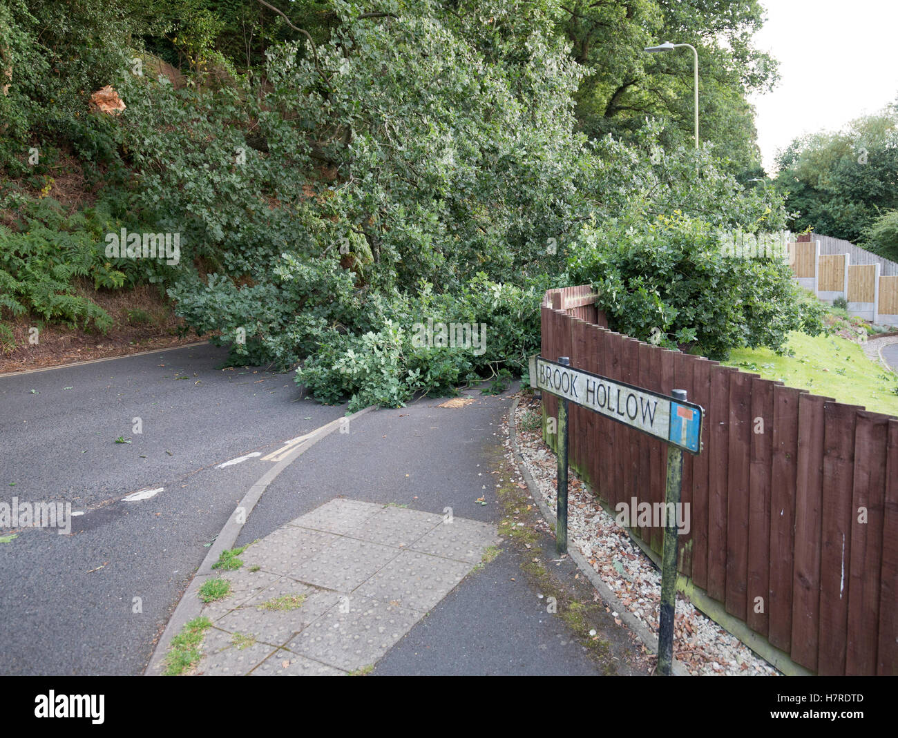 Old road fence tree hi-res stock photography and images - Alamy