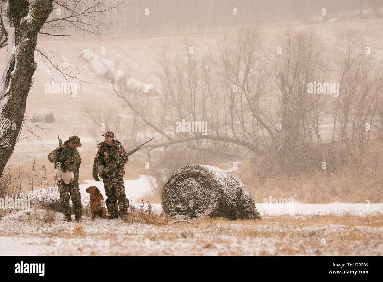 Two duck hunters hi-res stock photography and images - Alamy