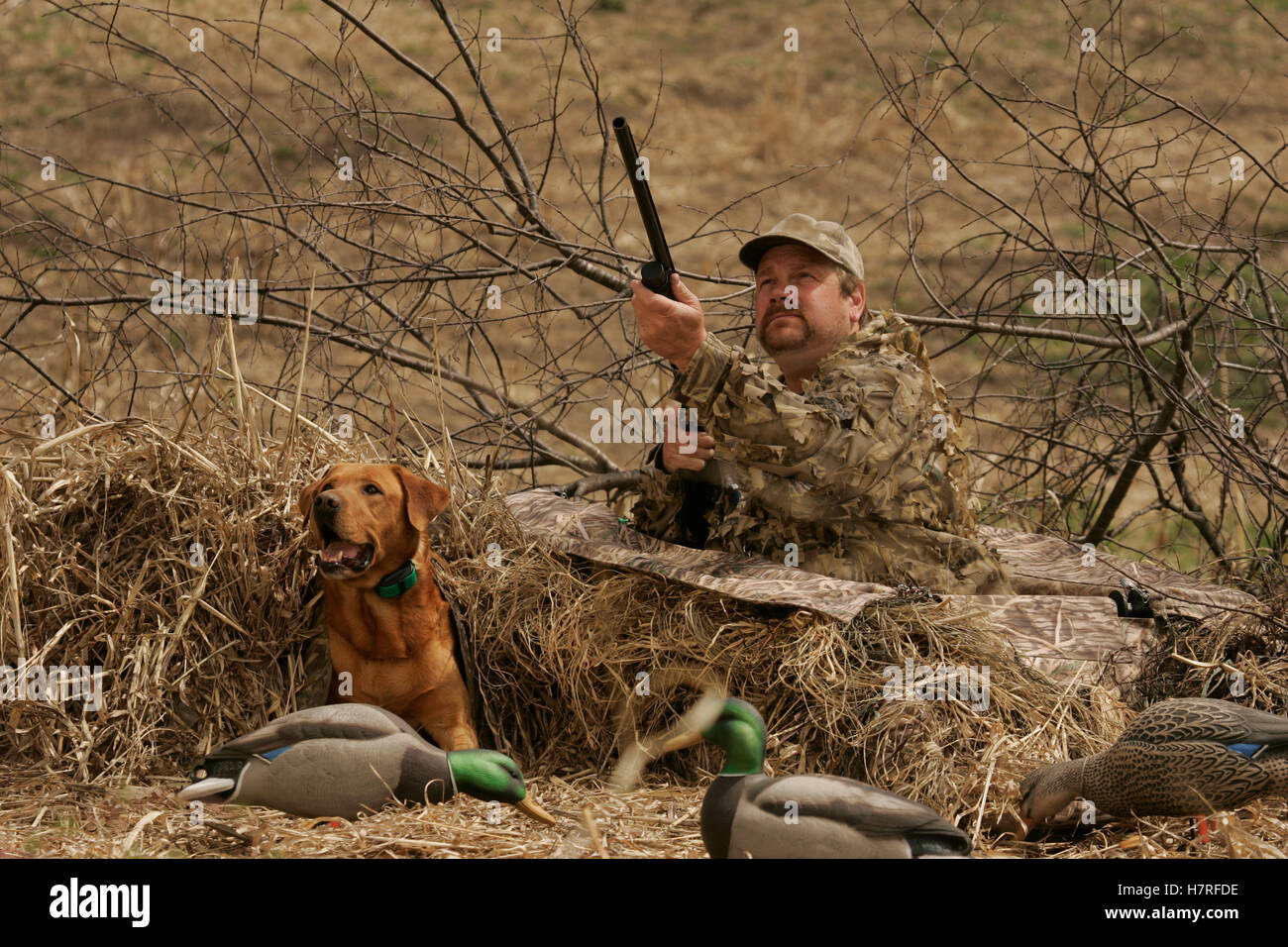 Hunter hunting Waterfowl With Red Lab Stock Photo - Alamy