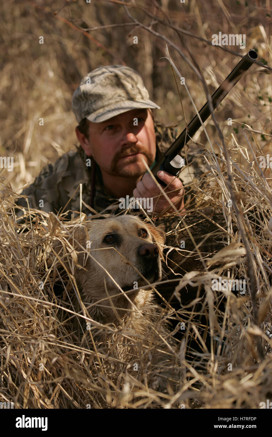 Waterfowl Hunter With Yellow Lab Stock Photo - Alamy