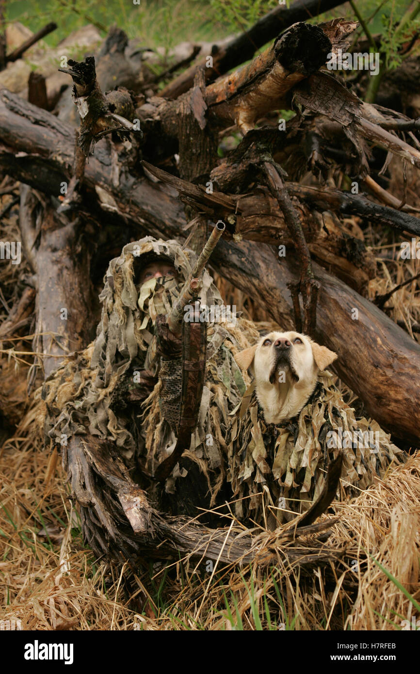 Female hunting dog hi-res stock photography and images - Alamy