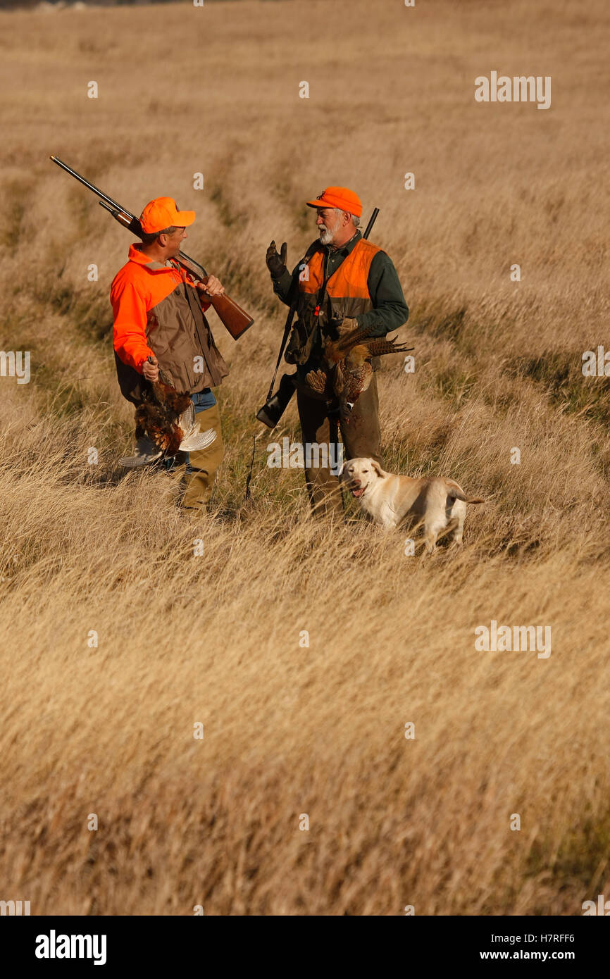 Two Pheasant Hunters With Yellow Lab In Field Stock Photo - Alamy