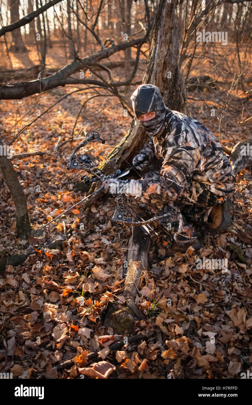 Ground hunter hi-res stock photography and images - Alamy