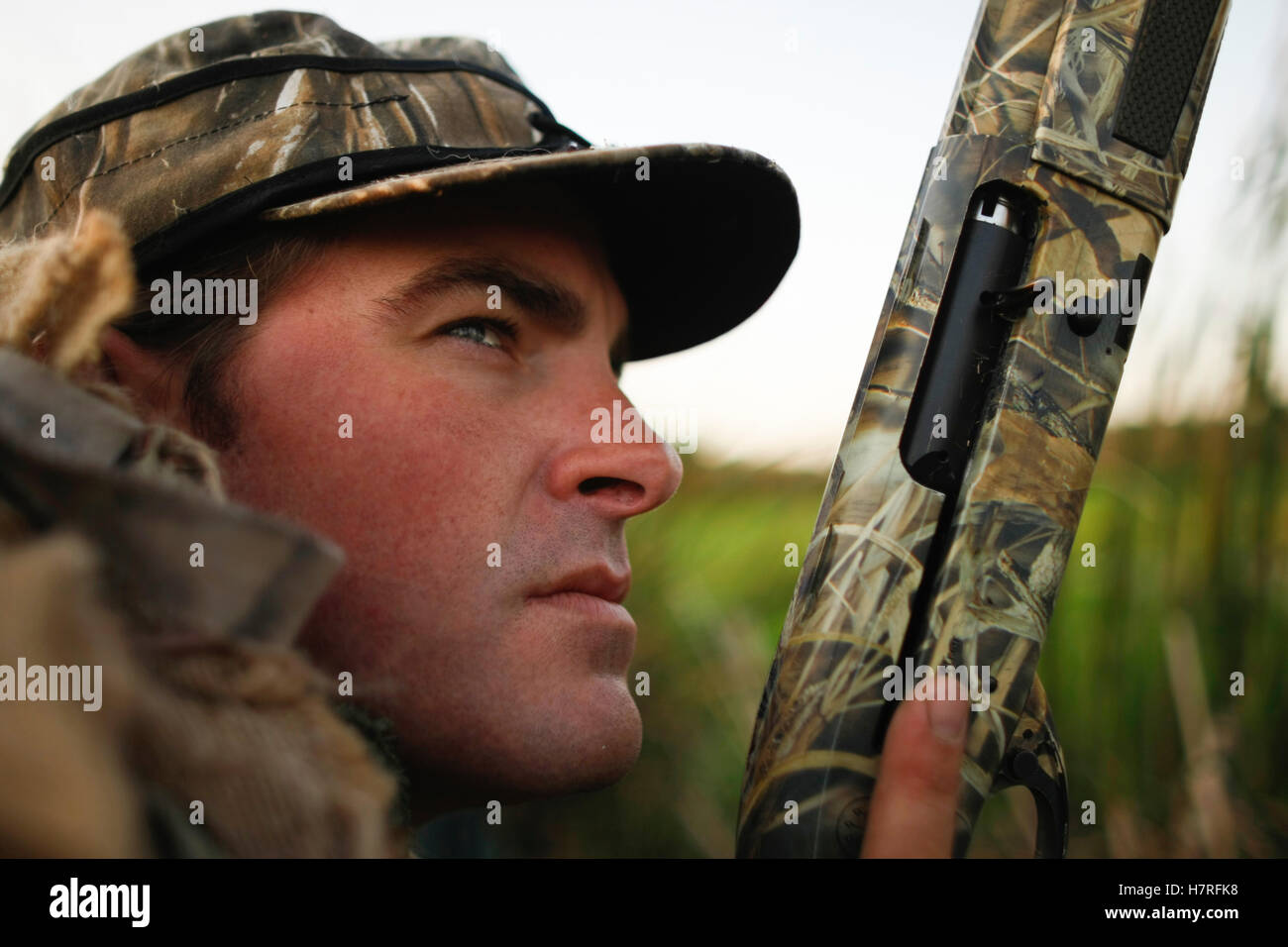 Waterfowl tracking hi-res stock photography and images - Alamy