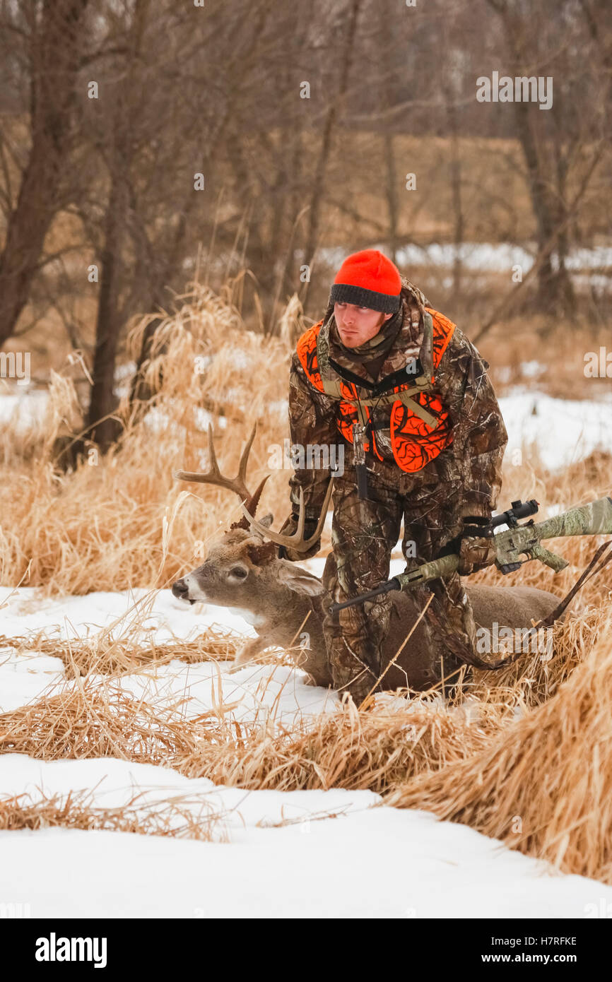 Whitetail Deer Hunter Drags Deer Out Of Field Stock Photo - Alamy